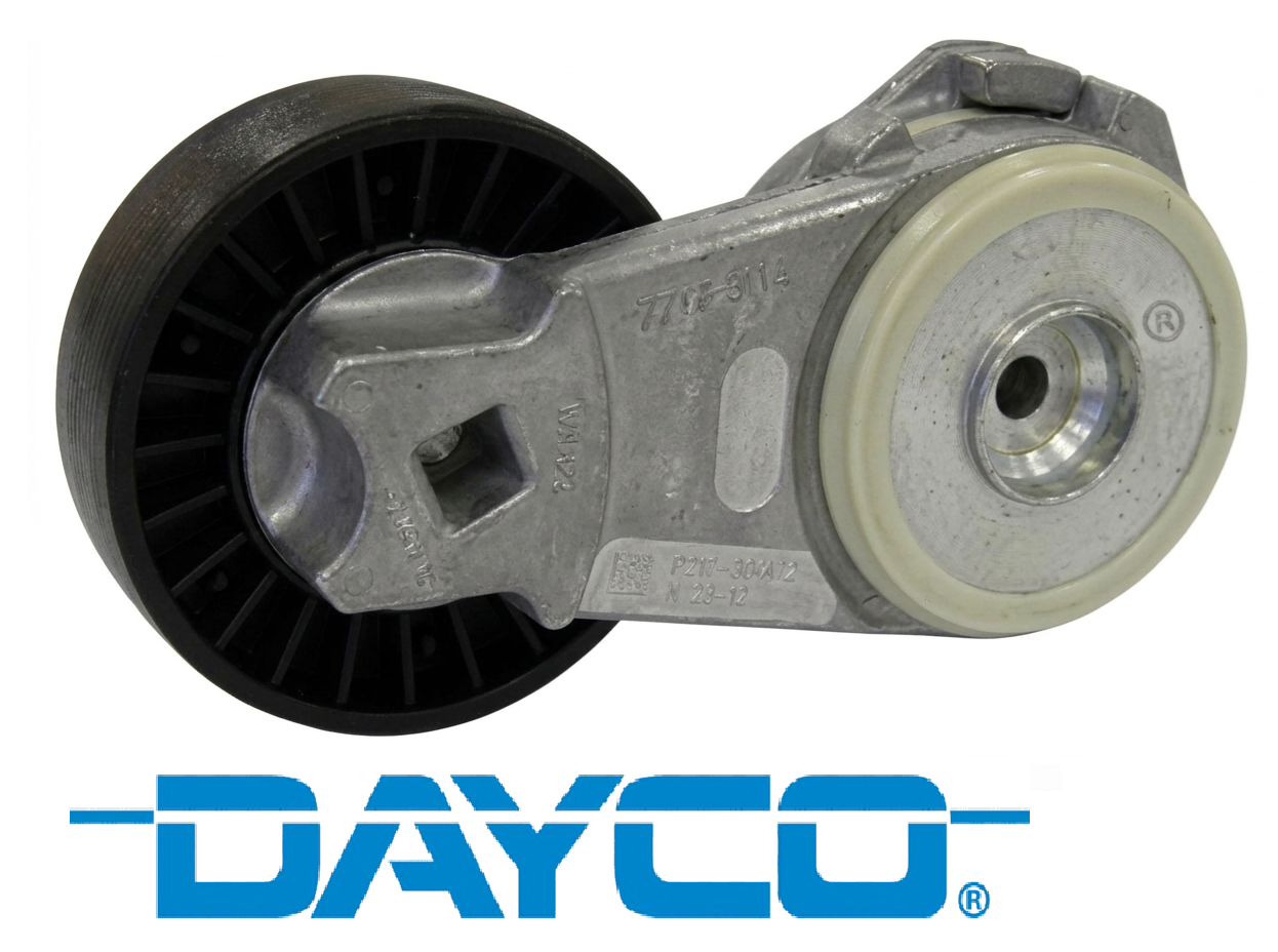 DAYCO COMPLETE SERPENTINE BELT KIT TO SUIT FORD BARRA 182 E-GAS 240T T ...